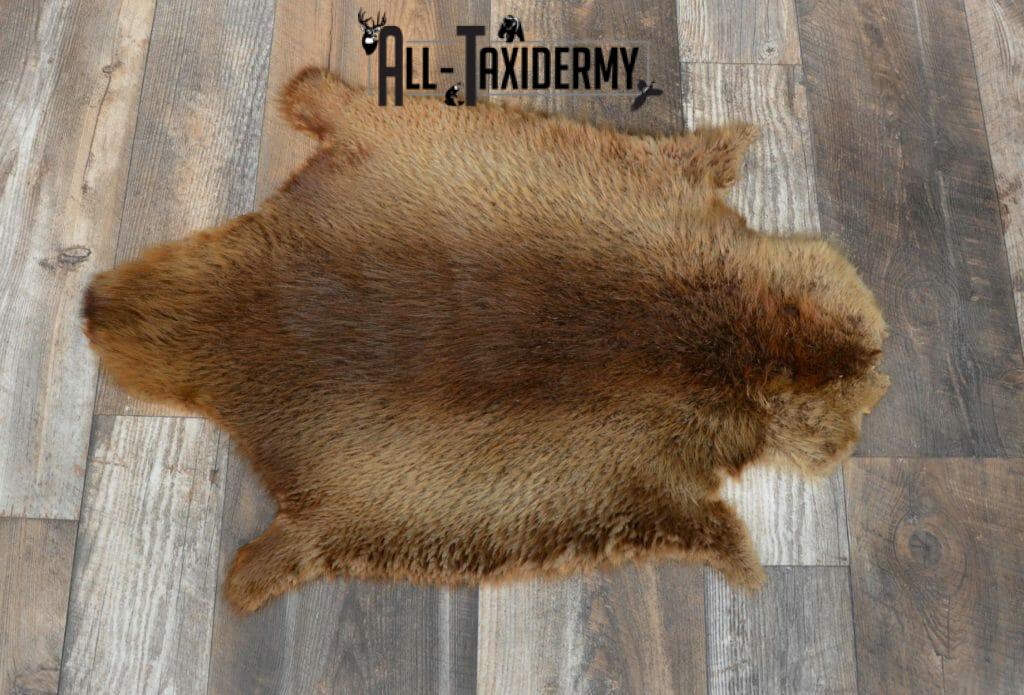 Beaver Hide Pelt Taxidermy for sale SKU 1103 - All Taxidermy