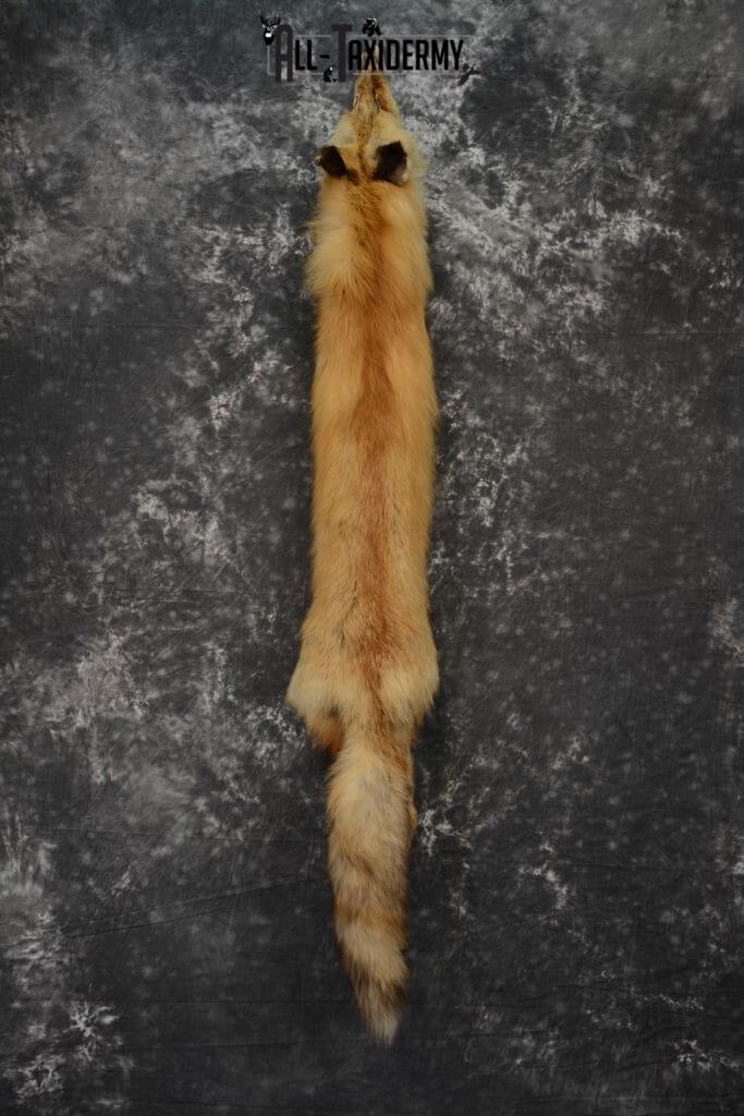 Red Fox Hide Pelt taxidermy for sale SKU 1094 - All Taxidermy