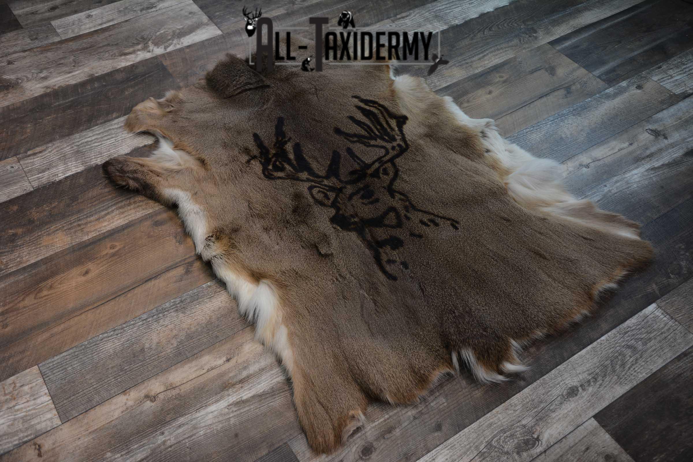 Whitetail Deer Hide With Buck Print Taxidermy SKU 1606 All Taxidermy Whitetail Deer Hide With Buck Print Taxidermy SKU 1606 All Taxidermy