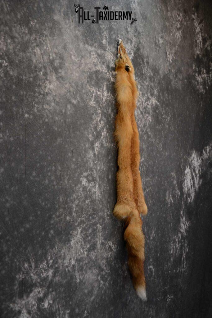 Red Fox Hide Pelt Taxidermy for Sale SKU 1616 - All Taxidermy