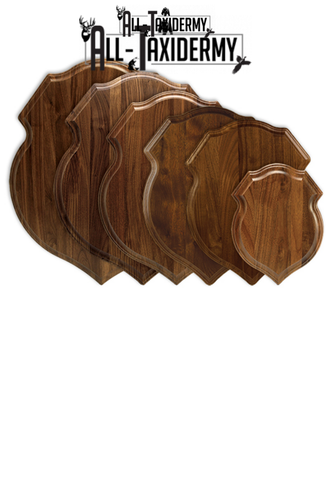 SKU 0129 Walnut Crest Plaque - 20" x 24" - All Taxidermy