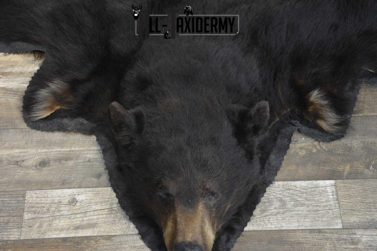 Black bear taxidermy rug for sale SKU 1859